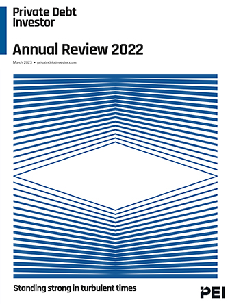 Download PDI's 2022 Annual Review