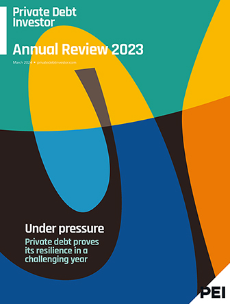 Download PDI's 2023 Annual Review