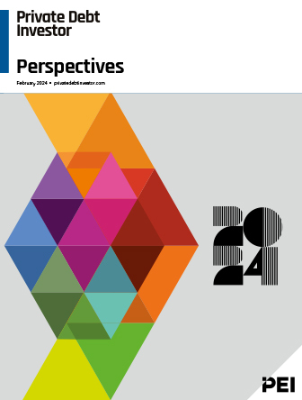Download PDI's 2024 Perspectives study