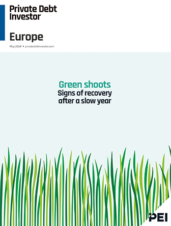 Download PDI's 2024 Europe report