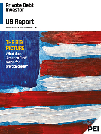 Download PDI's 2025 US Report